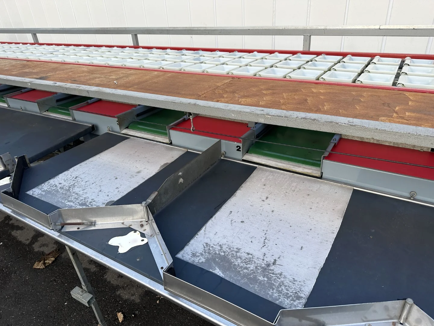 Aweta G3-8 pepper sorting machine • Duijndam Machines