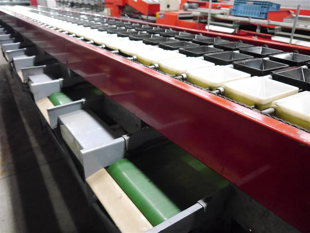 Aweta G3-8+1 weight sorting machine for peppers • Duijndam Machines