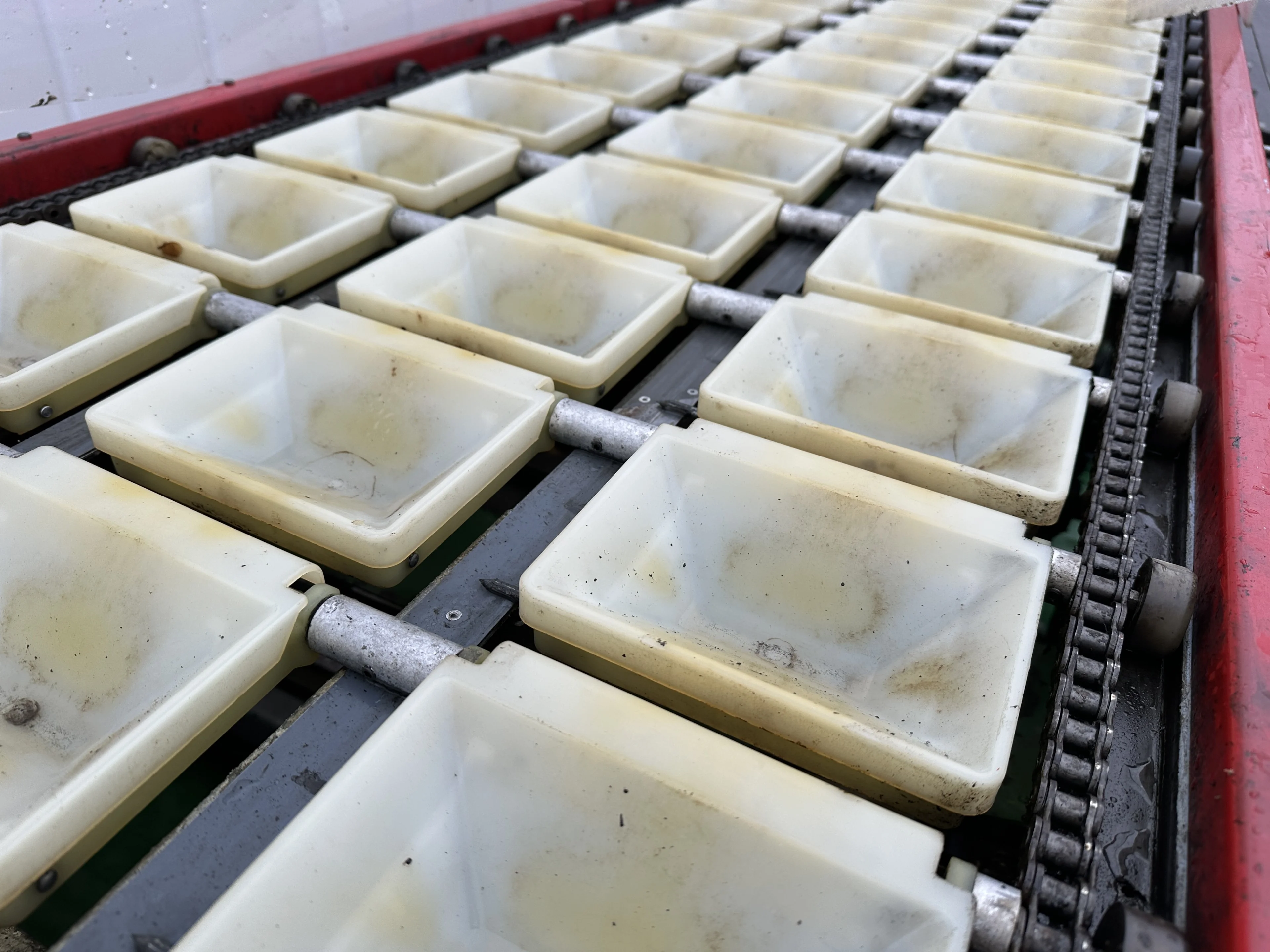 Aweta G3-8 fruit- en appelsorteermachine 3 spoor met 8+1 sorteringen ...