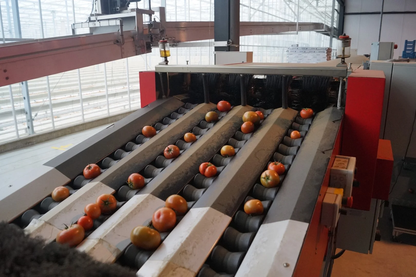 Aweta G4-15+1 electronic weight grader for tomatoes or fruit • Duijndam ...