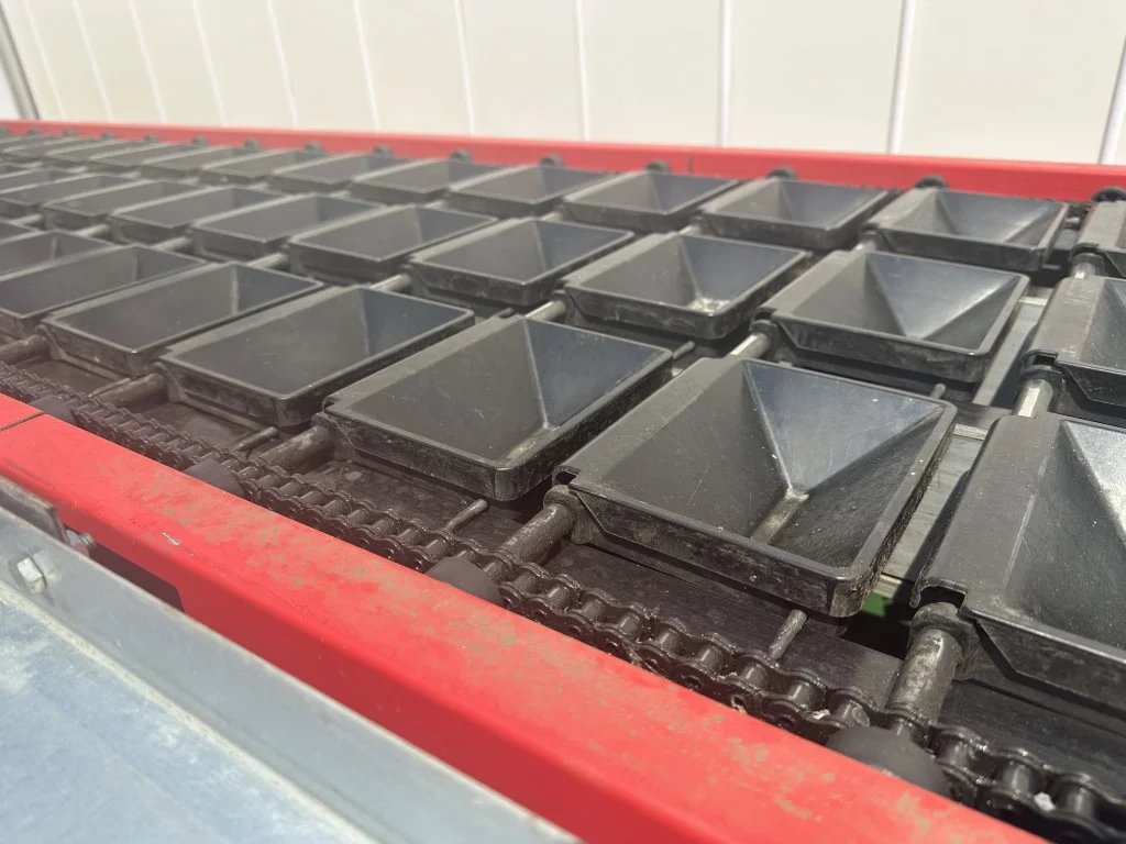 Aweta GM 3-8 sorting machine for peppers • Duijndam Machines