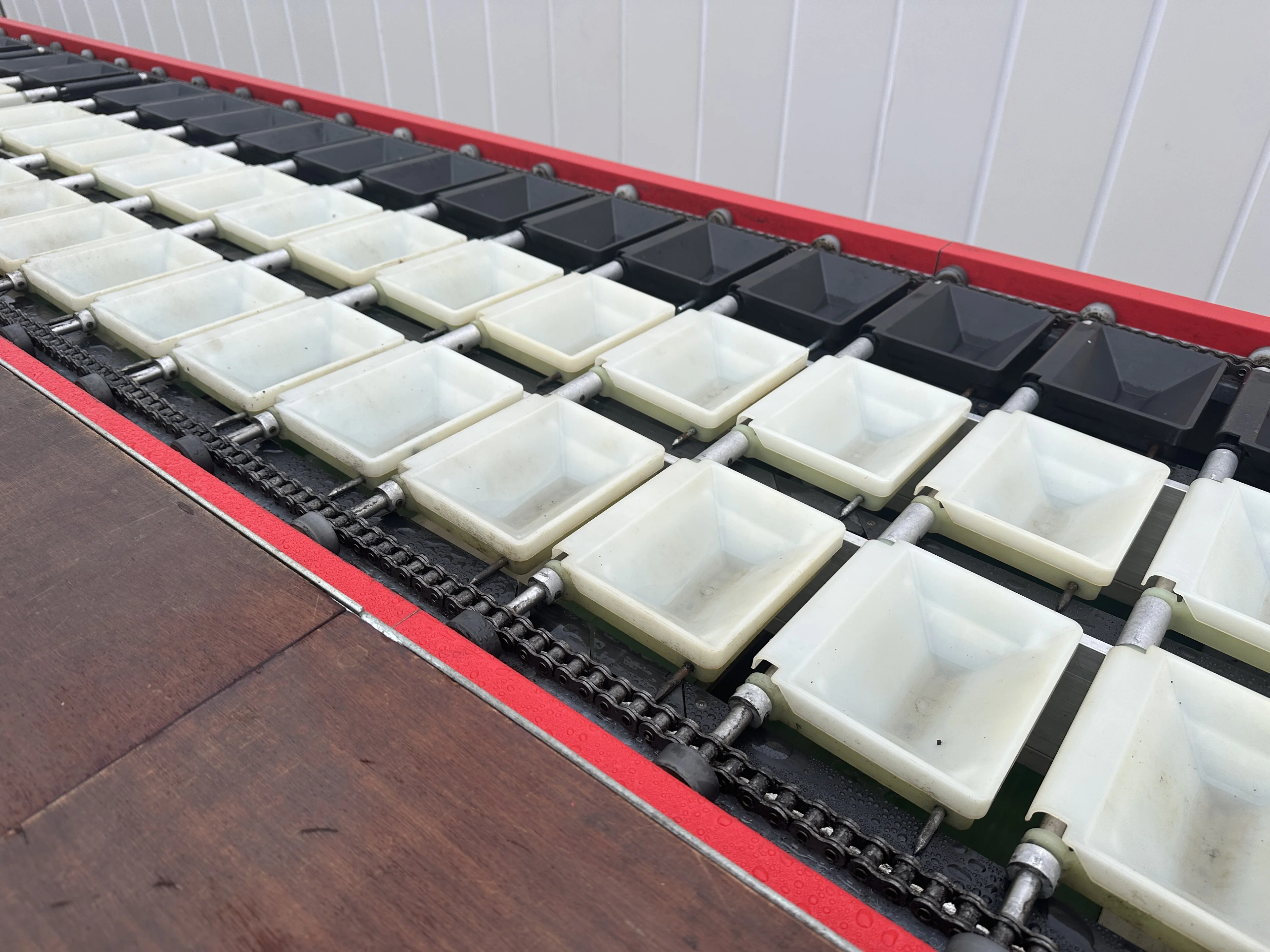 Aweta GM3-10 pepper sorting machine with feeding conveyor • Duijndam ...