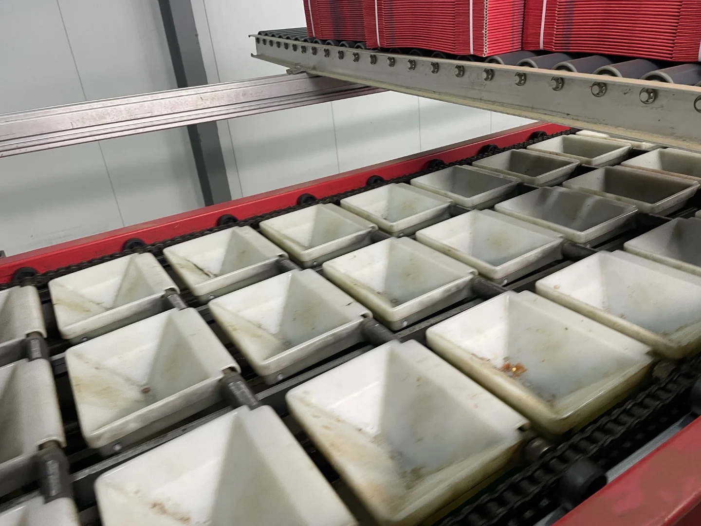 Aweta GM3-12+1 pepper sorting machine • Duijndam Machines