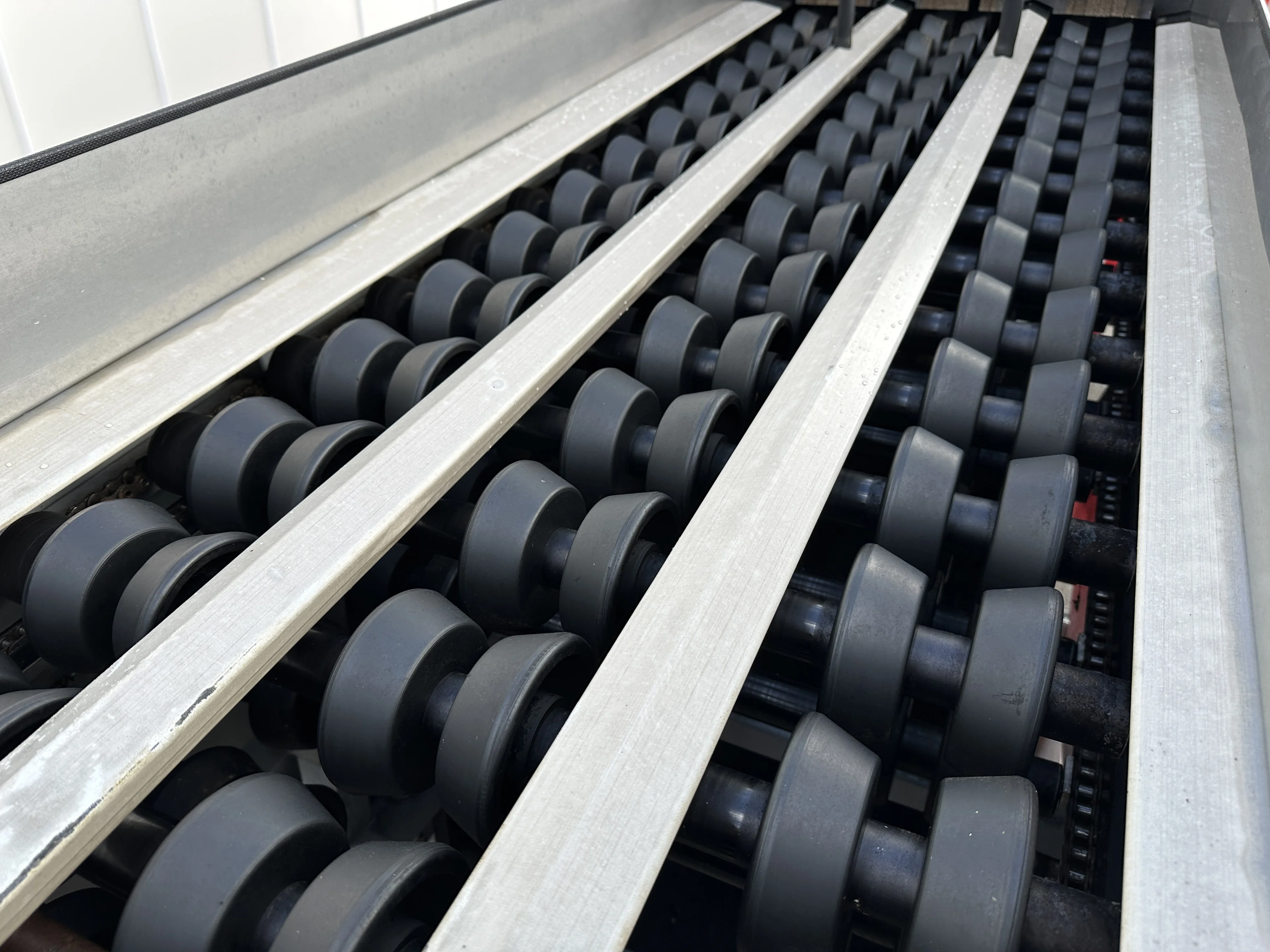 Aweta GM3-12+1 pepper sorting machine • Duijndam Machines