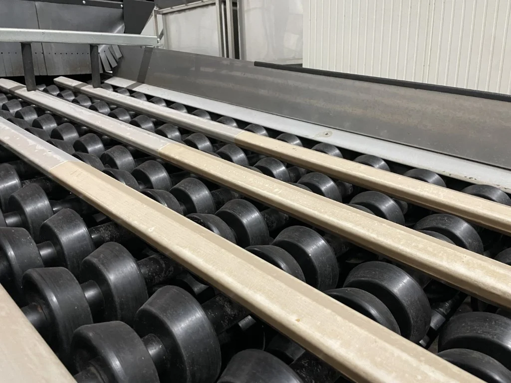 Aweta GMC 4-16+1 pepper sorting machine • Duijndam Machines