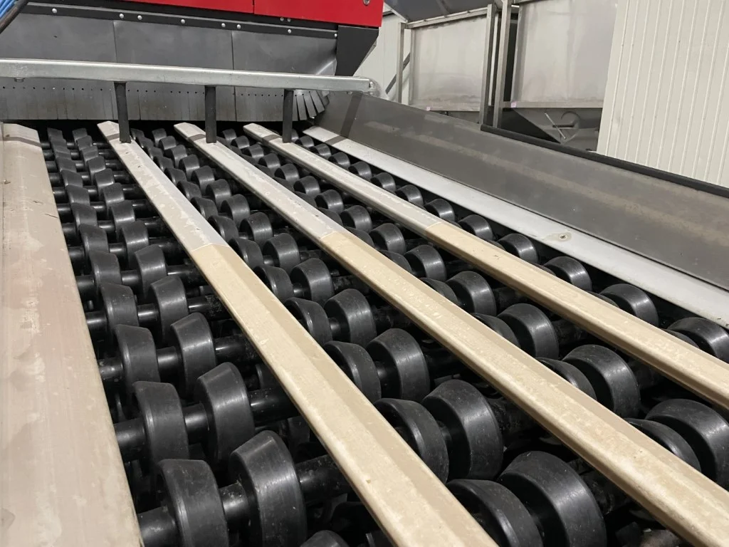 Aweta GMC 4-16+1 pepper sorting machine • Duijndam Machines