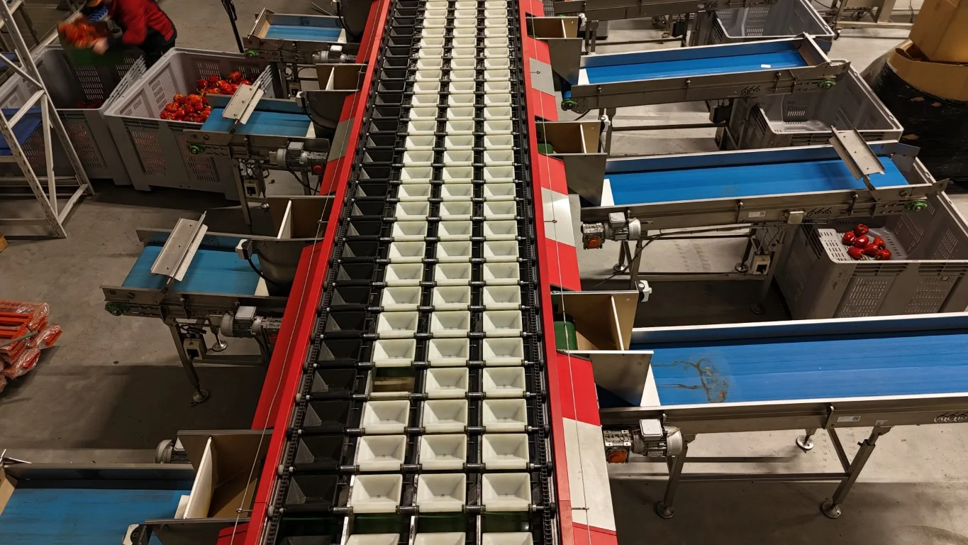 Aweta GMC 4-16+1 pepper sorting machine • Duijndam Machines