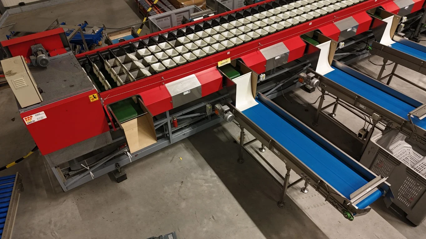 Aweta GMC 4-16+1 pepper sorting machine • Duijndam Machines