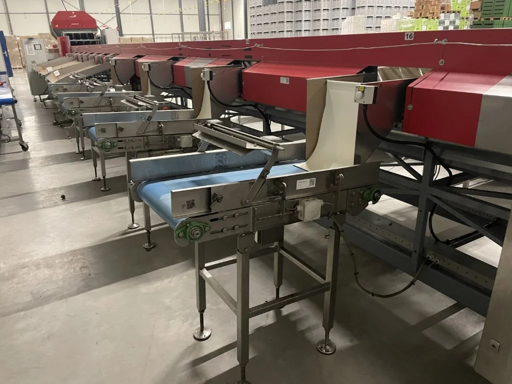 Aweta GMC 4-16+1 pepper sorting machine • Duijndam Machines