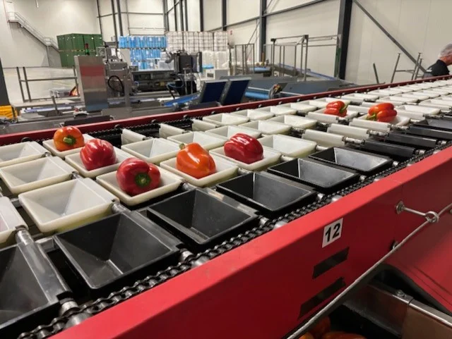 Aweta GMC 4-16+1 pepper sorting machine • Duijndam Machines
