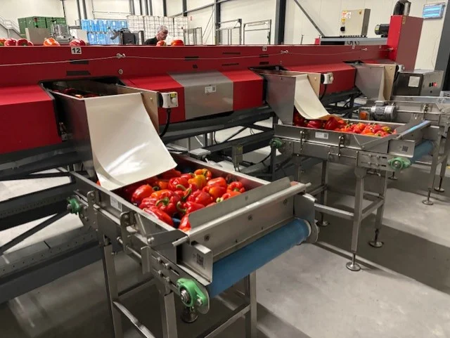 Aweta GMC 4-16+1 pepper sorting machine • Duijndam Machines