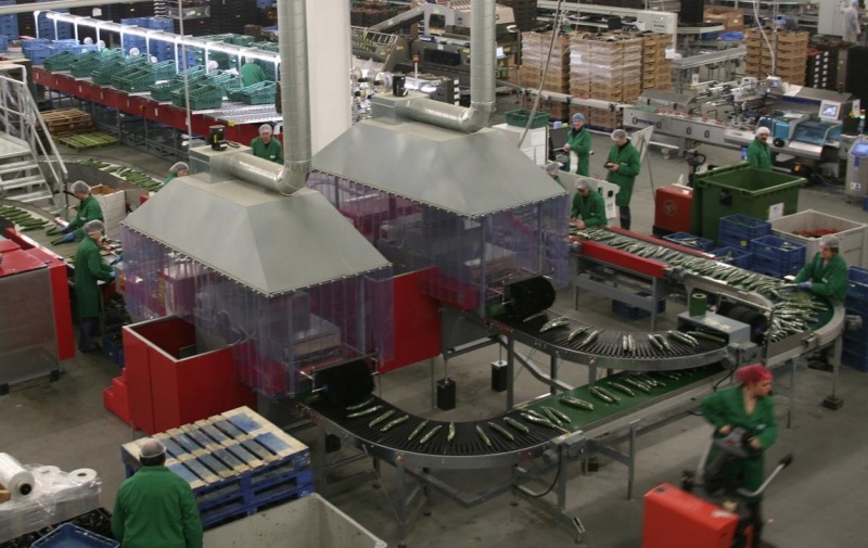 Aweta GSM-12 weight and length sorting machine for cucumbers • Duijndam ...