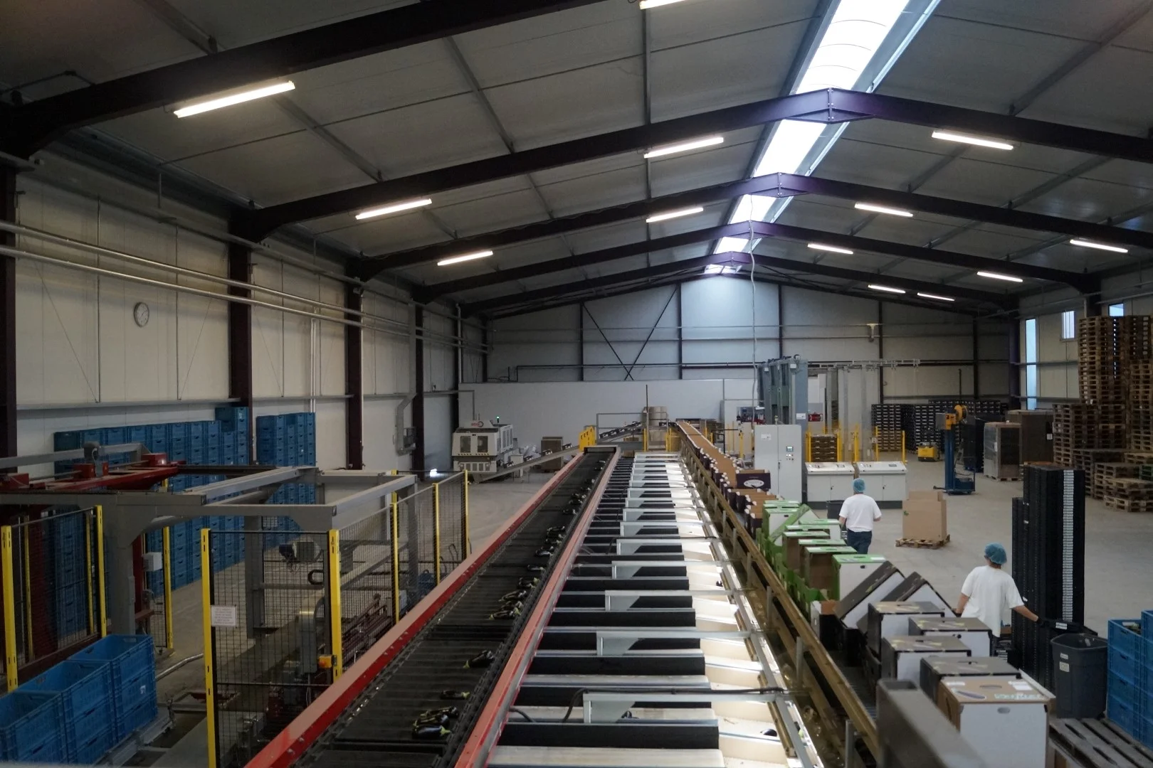 Aweta GS32 + 1 • Duijndam Machines