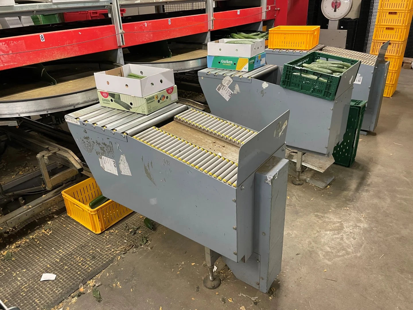 Aweta GSM 10 weight and length sorting machine for cucumbers • Duijndam ...