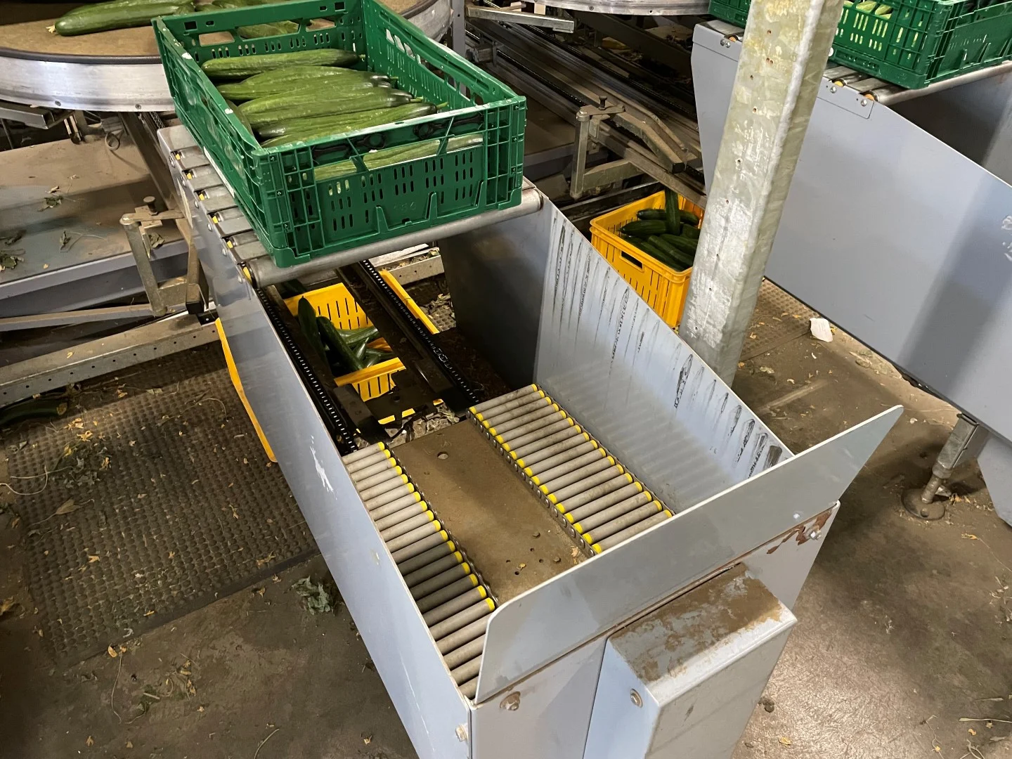 Aweta GSM 10 weight and length sorting machine for cucumbers • Duijndam ...