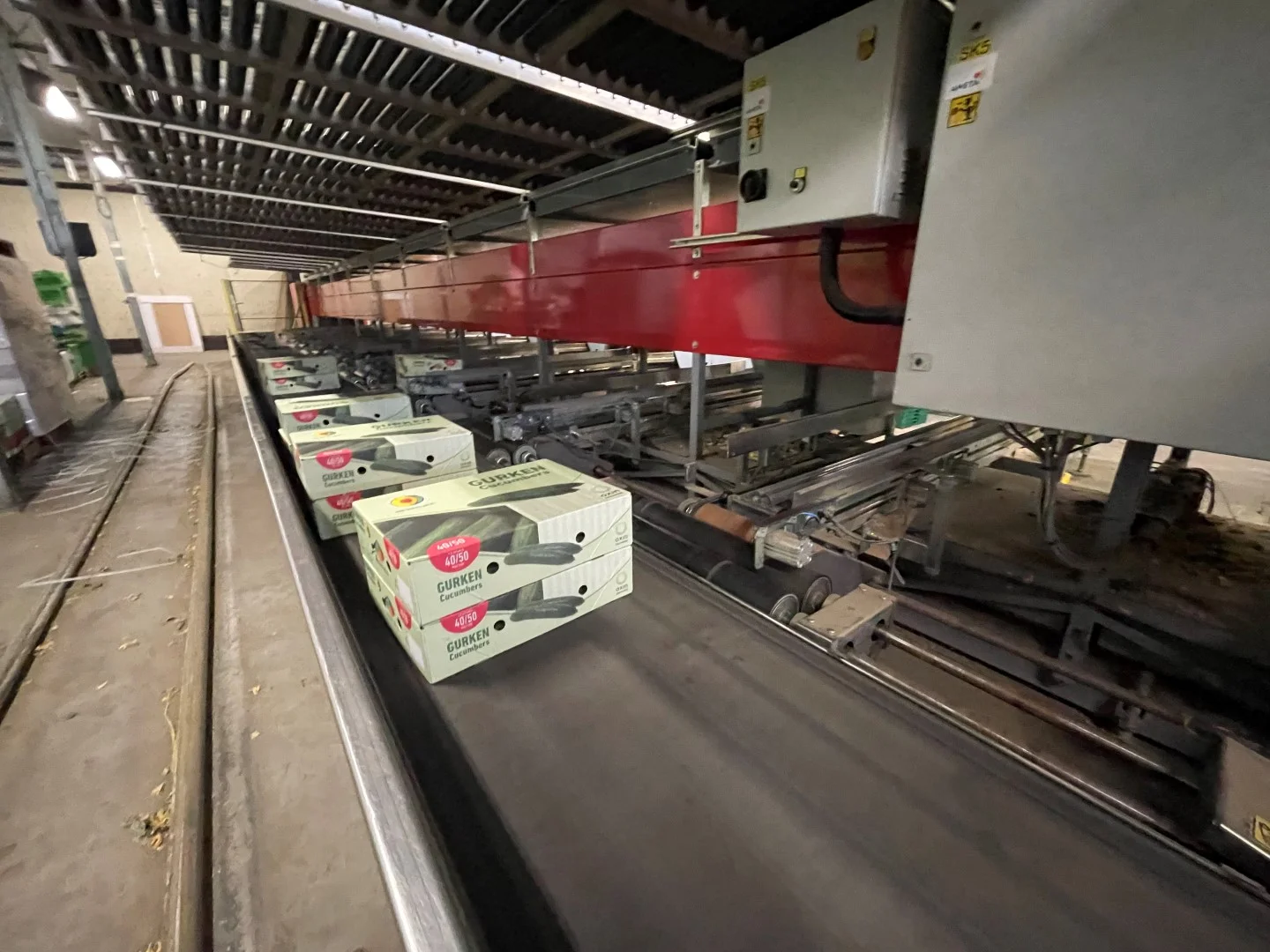 Aweta GSM 10 weight and length sorting machine for cucumbers • Duijndam ...