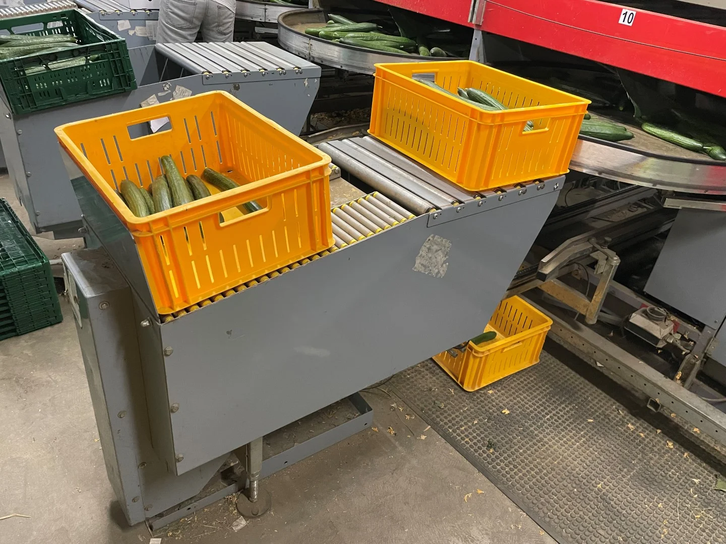 Aweta GSM 10 weight and length sorting machine for cucumbers • Duijndam ...