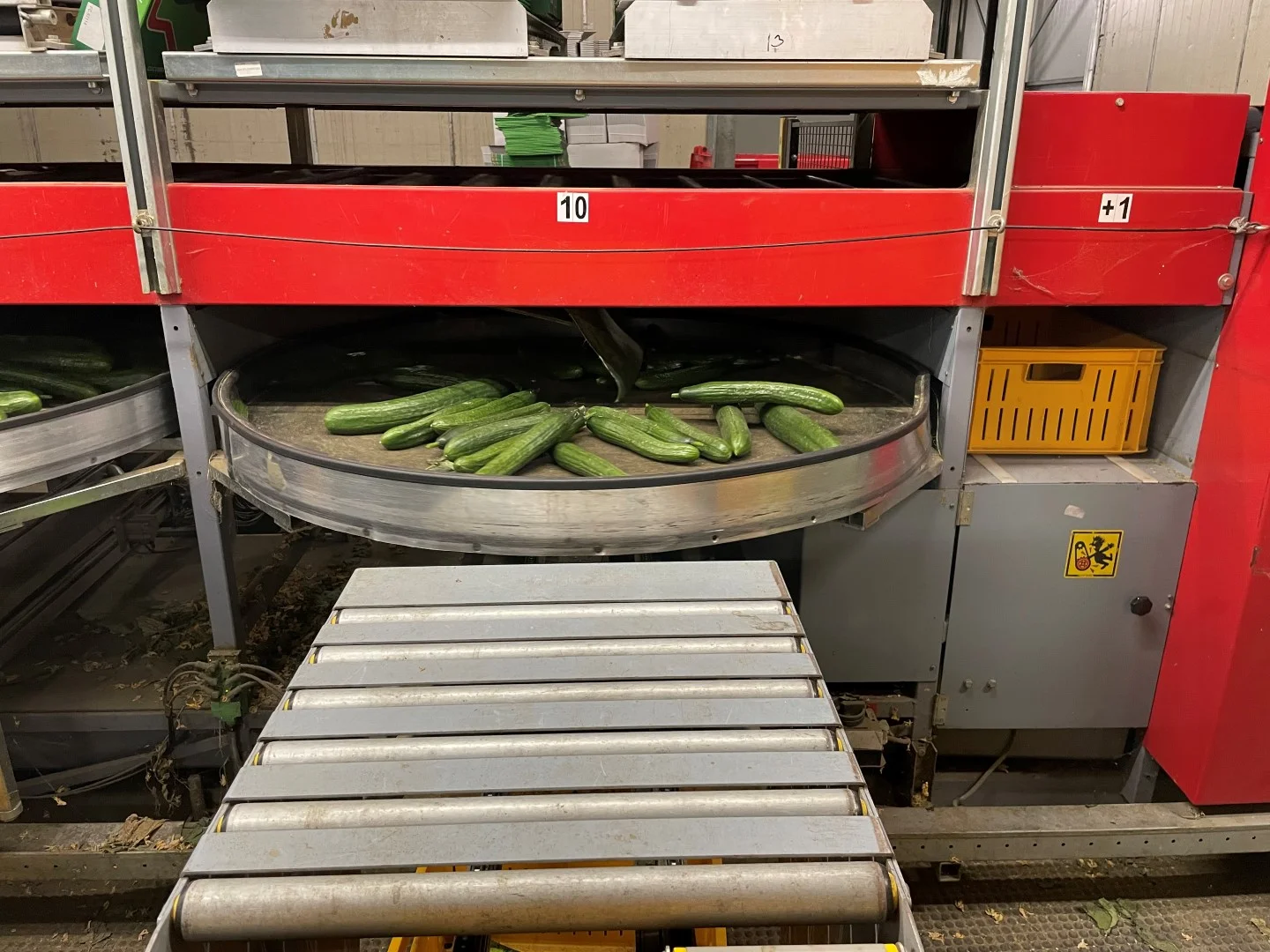 Aweta GSM 10 weight and length sorting machine for cucumbers • Duijndam ...