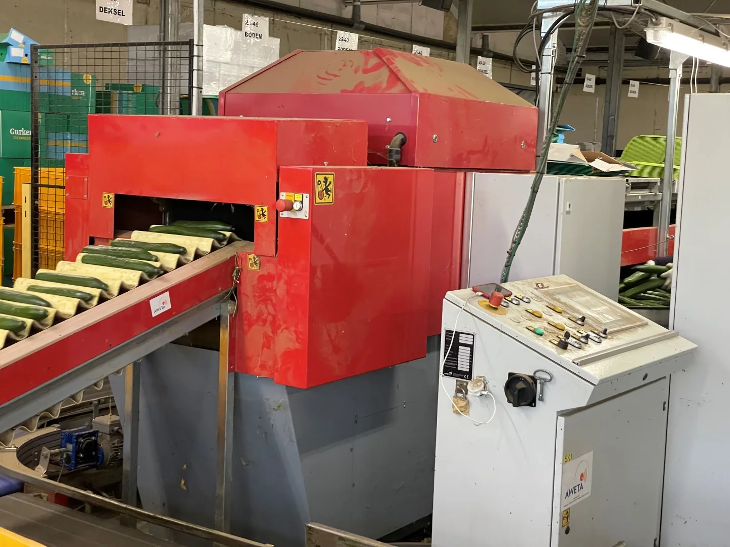 Aweta GSM 10 weight and length sorting machine for cucumbers • Duijndam ...