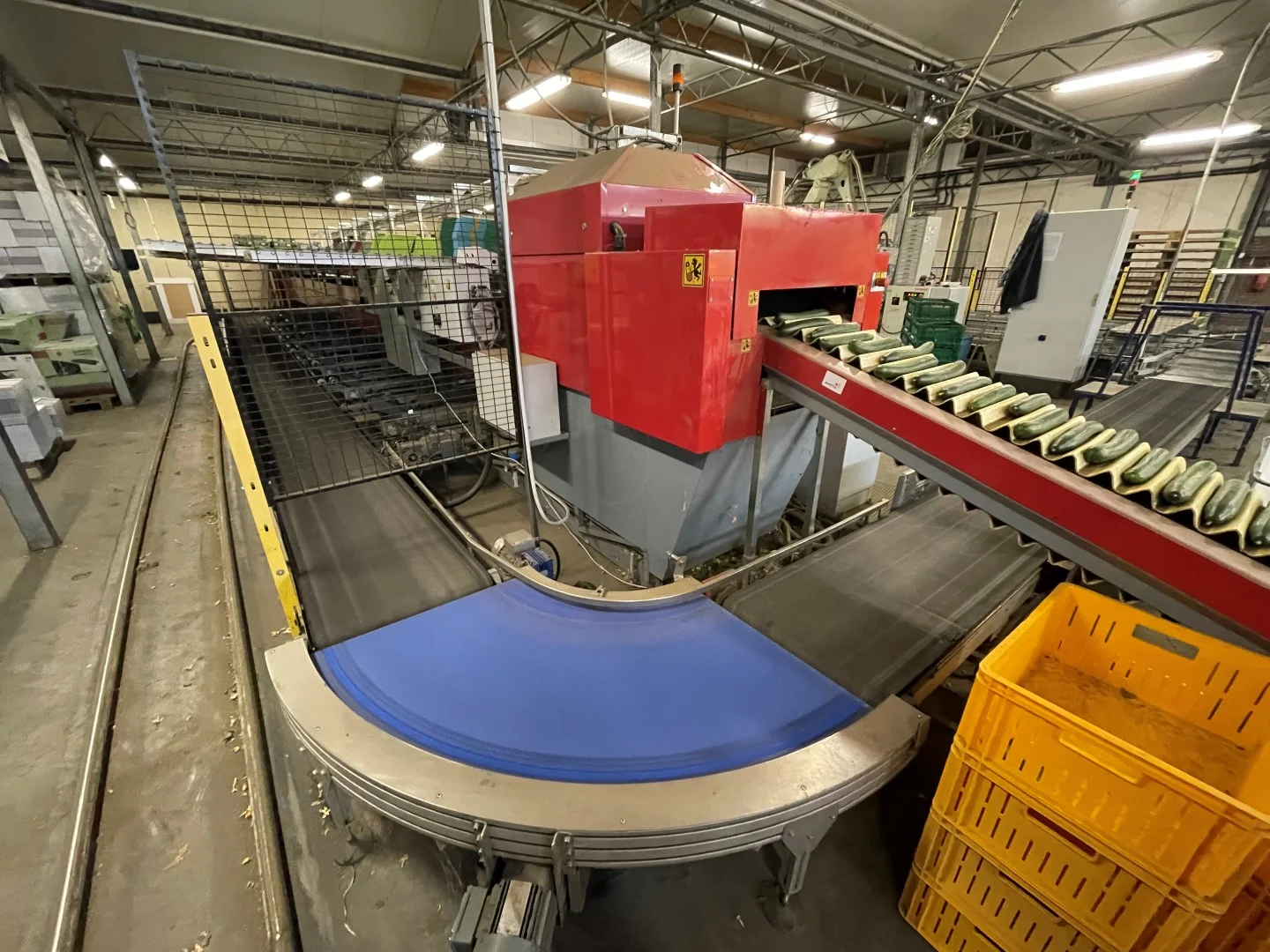 Aweta GSM 10 weight and length sorting machine for cucumbers • Duijndam ...