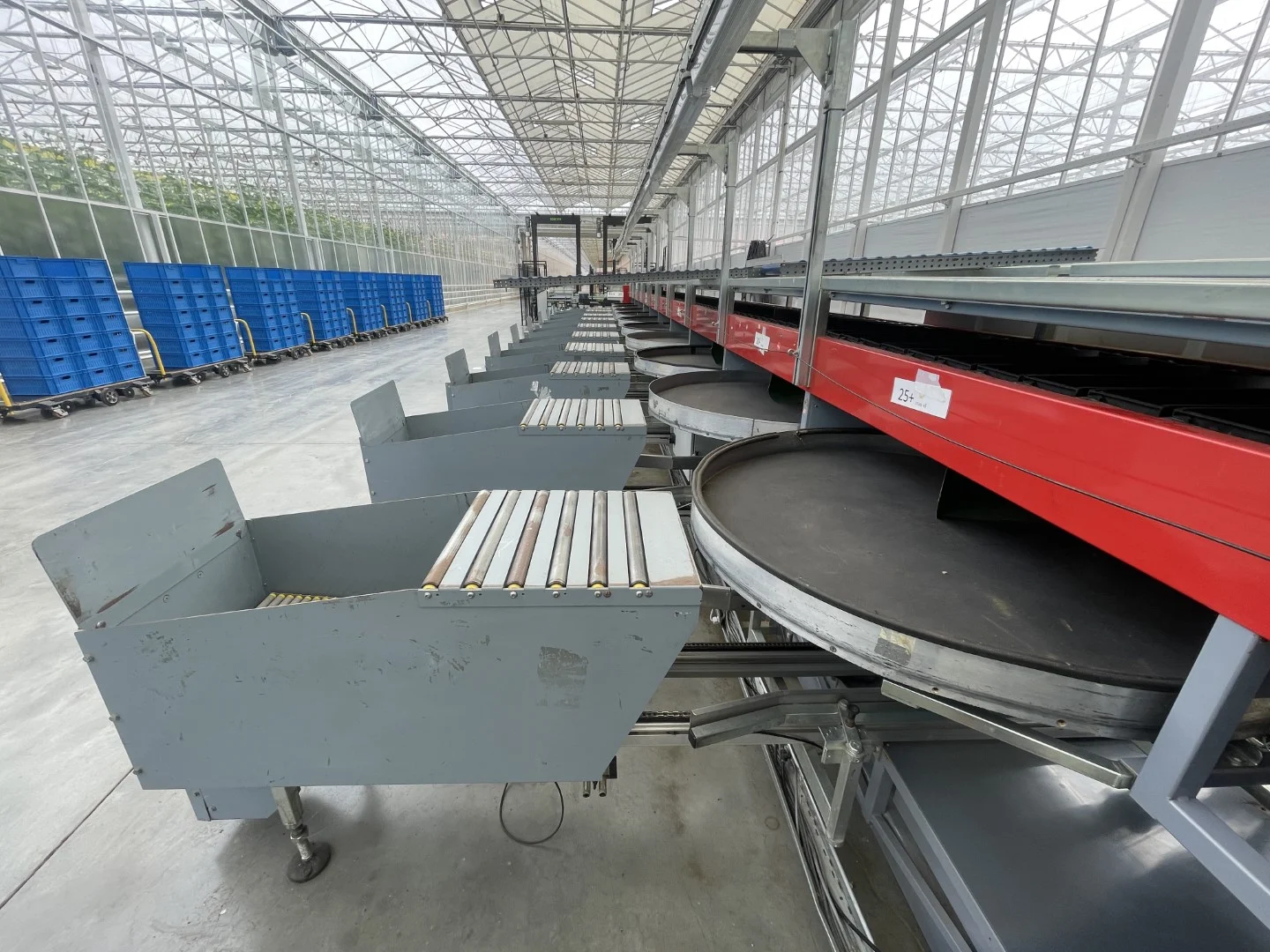 Aweta GSM-10 cucumber sorting machine with discharge system • Duijndam ...