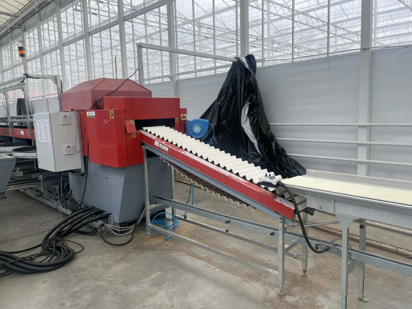 Aweta GSM-10 cucumber sorting machine with discharge system • Duijndam ...