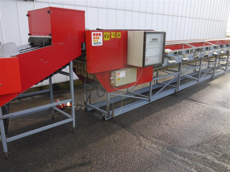 Aweta KG3-12 +1 weight and colour sorting machine for tomatoes ...