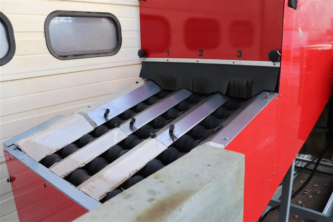 Aweta KG3-16 tomato sorting machine colour and weight grader • Duijndam ...