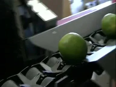 Aweta Megastar 1-10+1 sorting machine for mango • Duijndam Machines