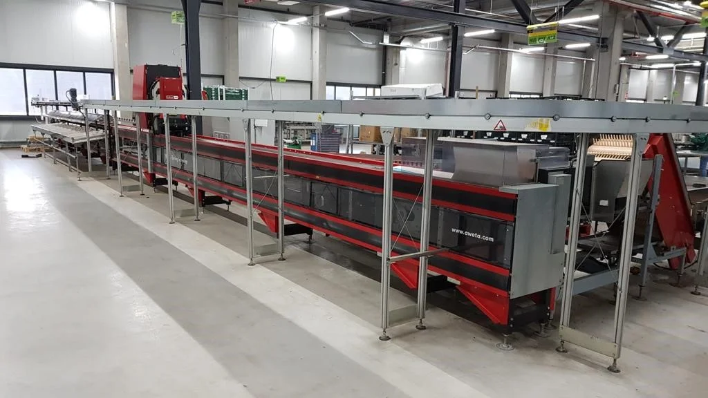 Aweta Megastar 1-10+1 sorting machine for mango • Duijndam Machines