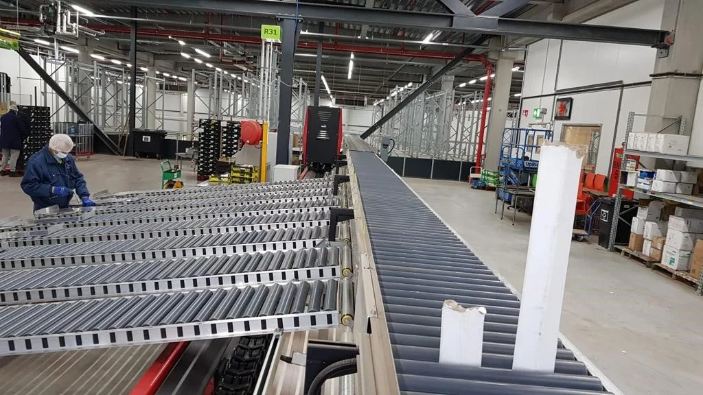 Aweta Megastar 1-10+1 sorting machine for mango • Duijndam Machines