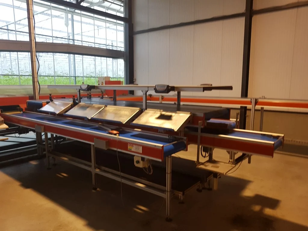 Aweta G4-15+1 electronic weight grader for tomatoes or fruit • Duijndam ...