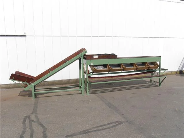 Backus - Sormac chaingrader for carrots and pickles • Duijndam Machines