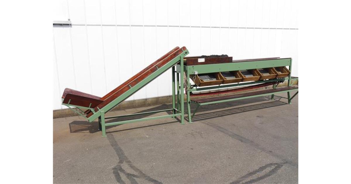 Backus - Sormac chaingrader for carrots and pickles • Duijndam Machines