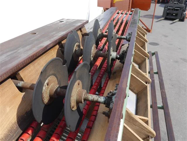 Backus - Sormac chaingrader for carrots and pickles • Duijndam Machines