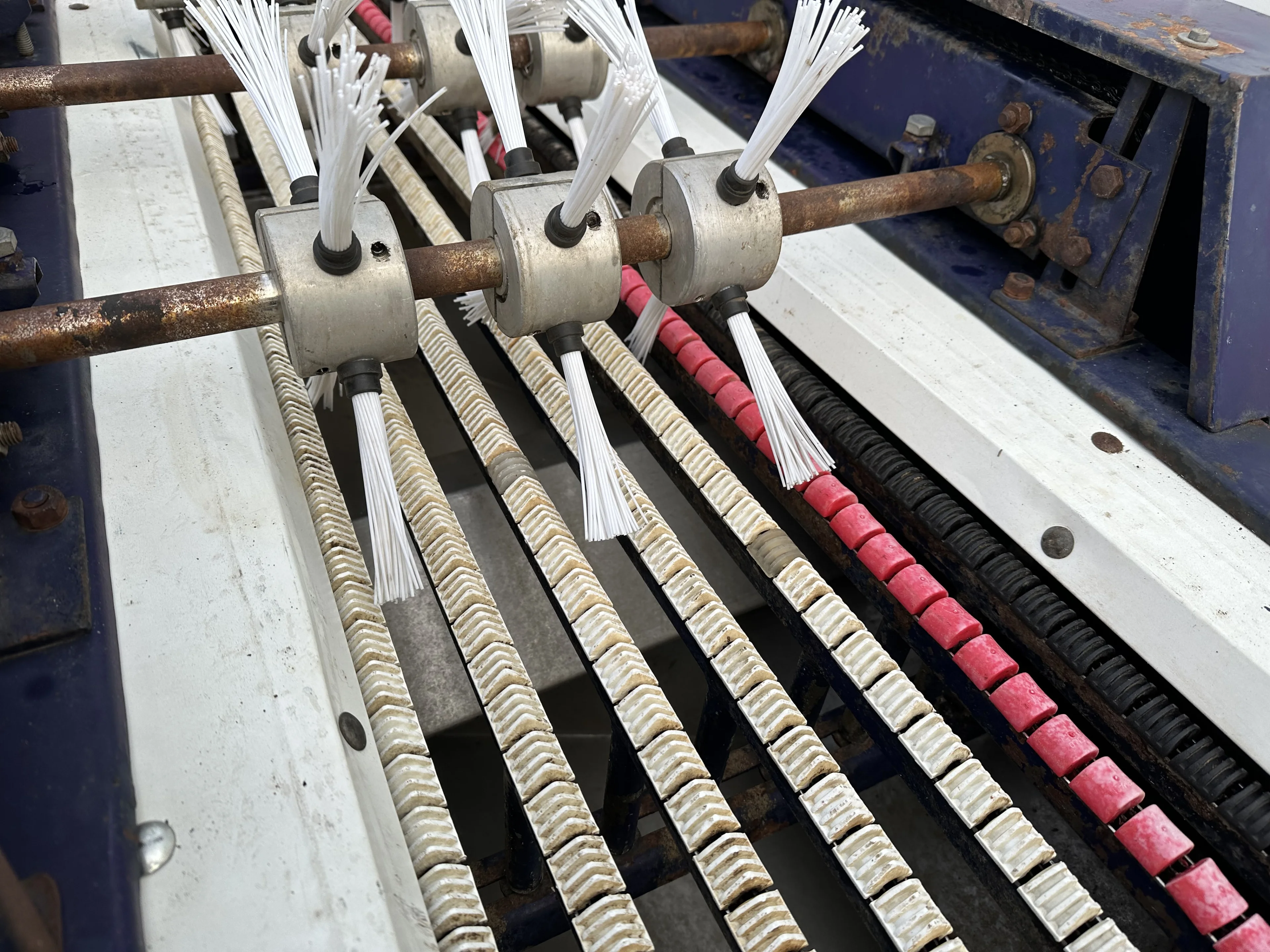 Backus Sormac chain sorting machine • Duijndam Machines