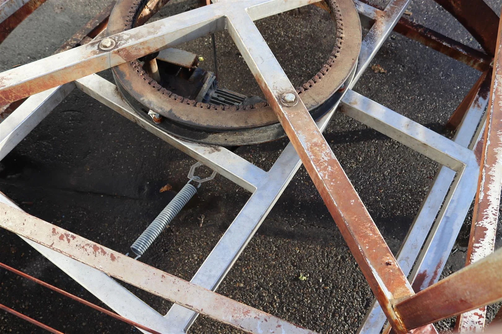 Baekelandt stainless steel carousel for leek, 3 meter Ø • Duijndam Machines