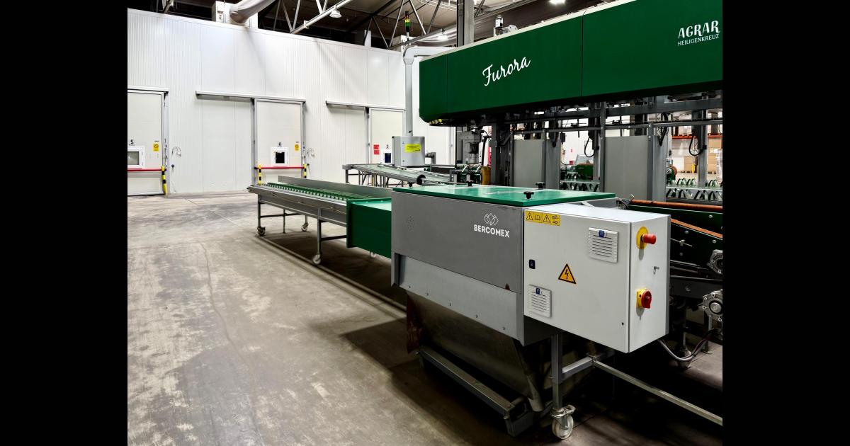 Bercomex Furora flower processing machine • Duijndam Machines