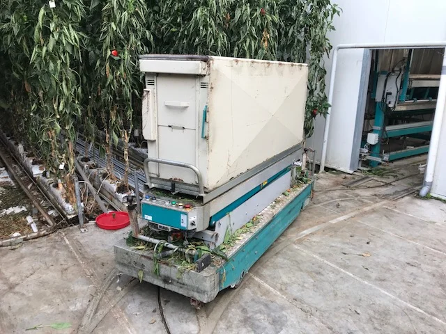Berg harvesting system for bell pepper with 15 automatic driven ...