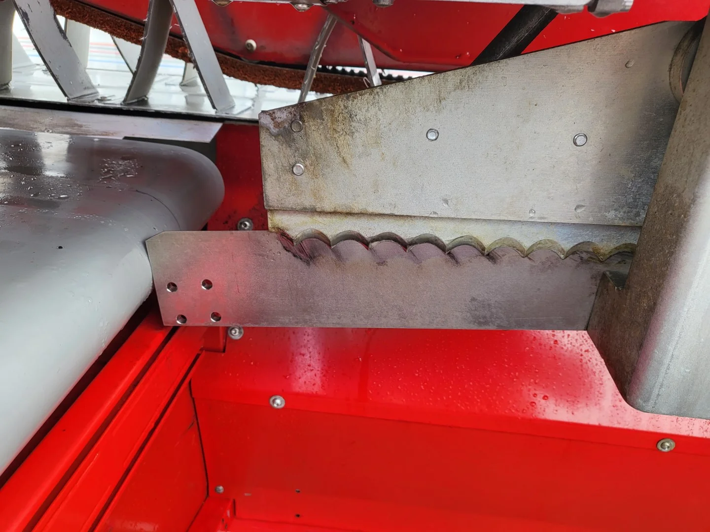 BTM T4100 flower processing machine • Duijndam Machines