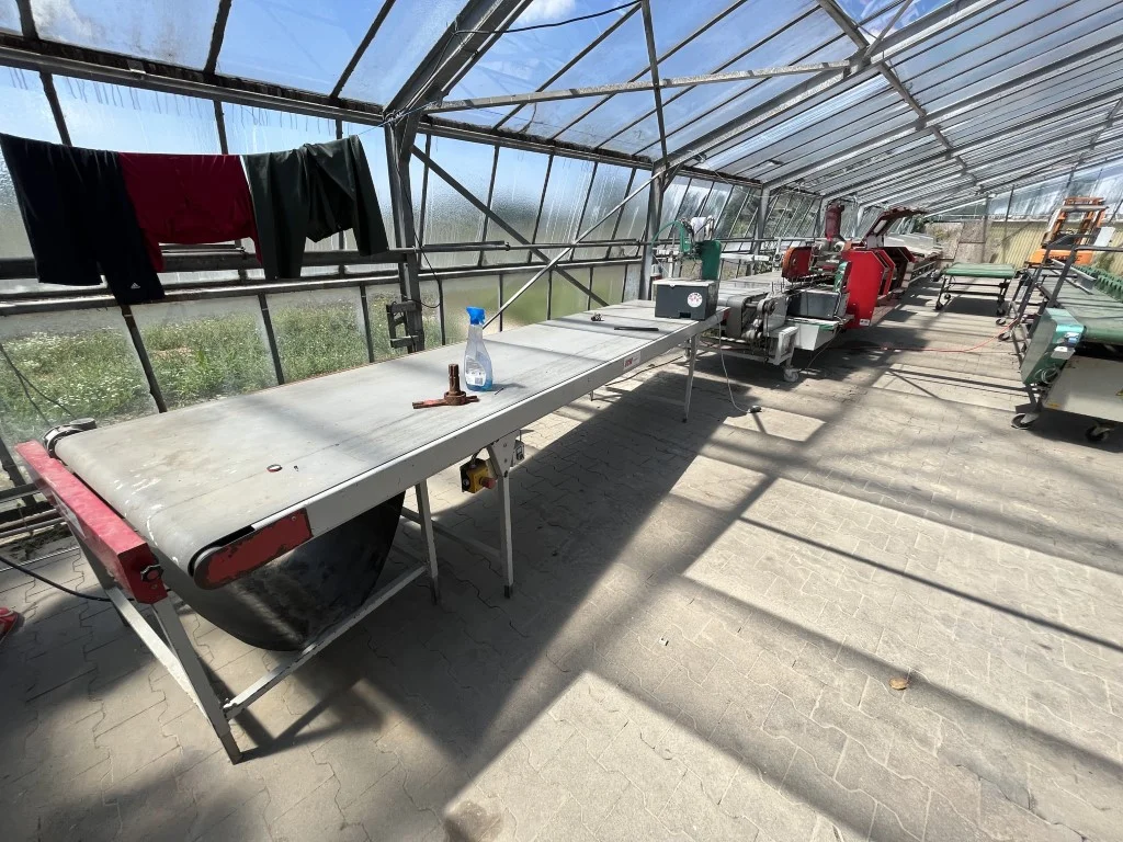 BTM T4100 Uniflor flower processing machine • Duijndam Machines