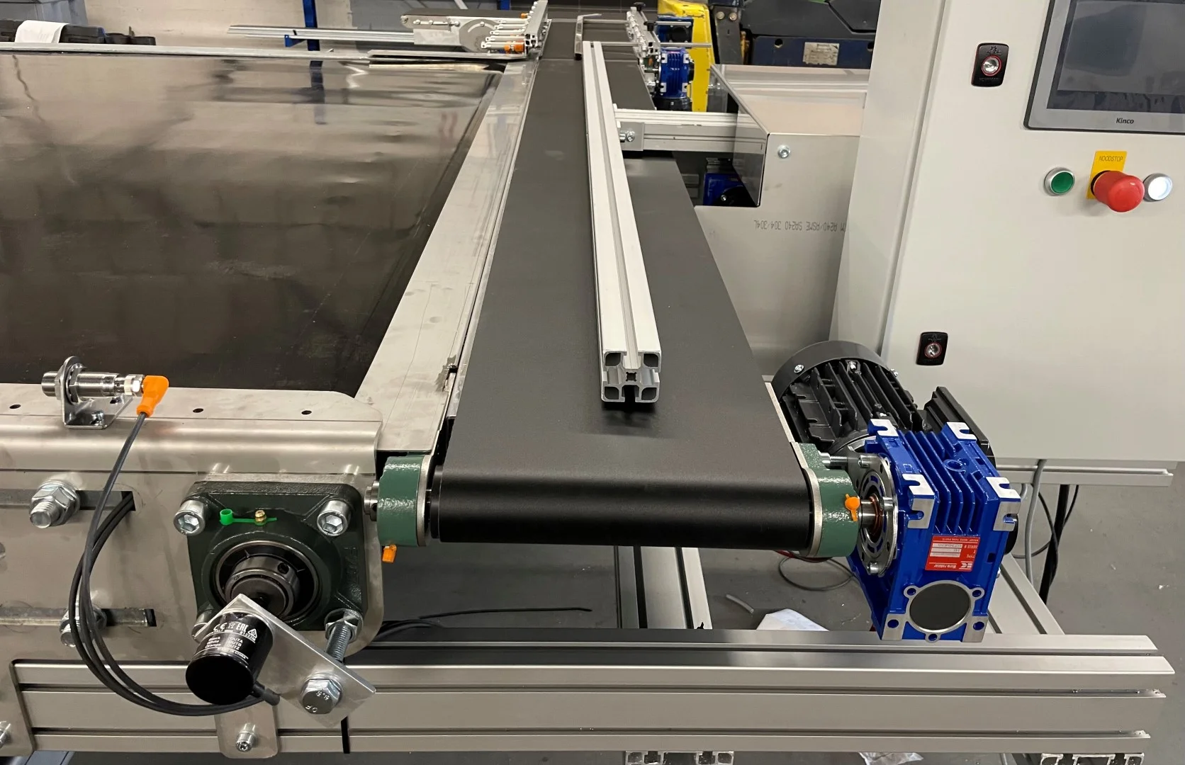 New buffer conveyor with pusher for potplants and trays • Duijndam Machines