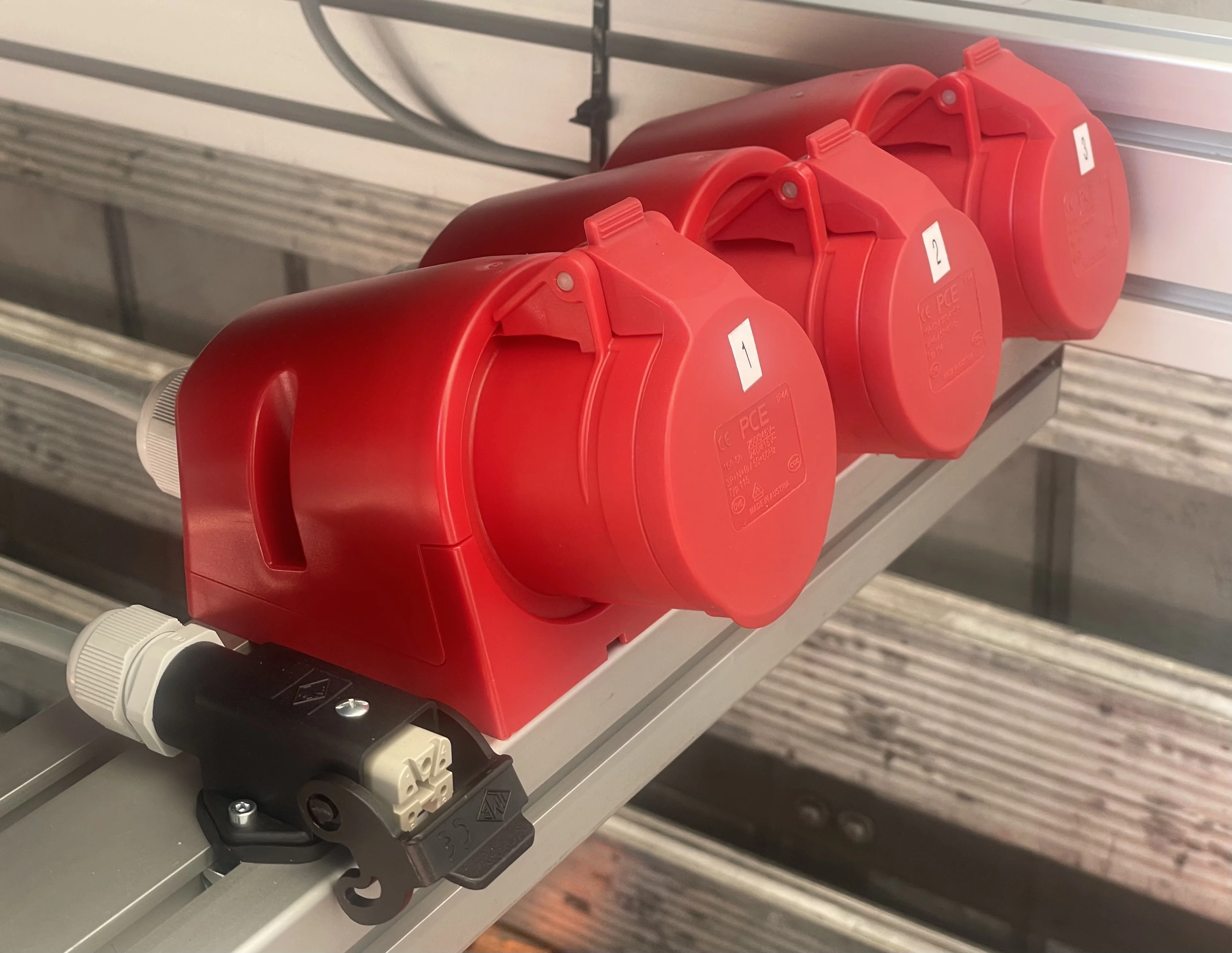 New buffer conveyor with pusher for potplants and trays • Duijndam Machines