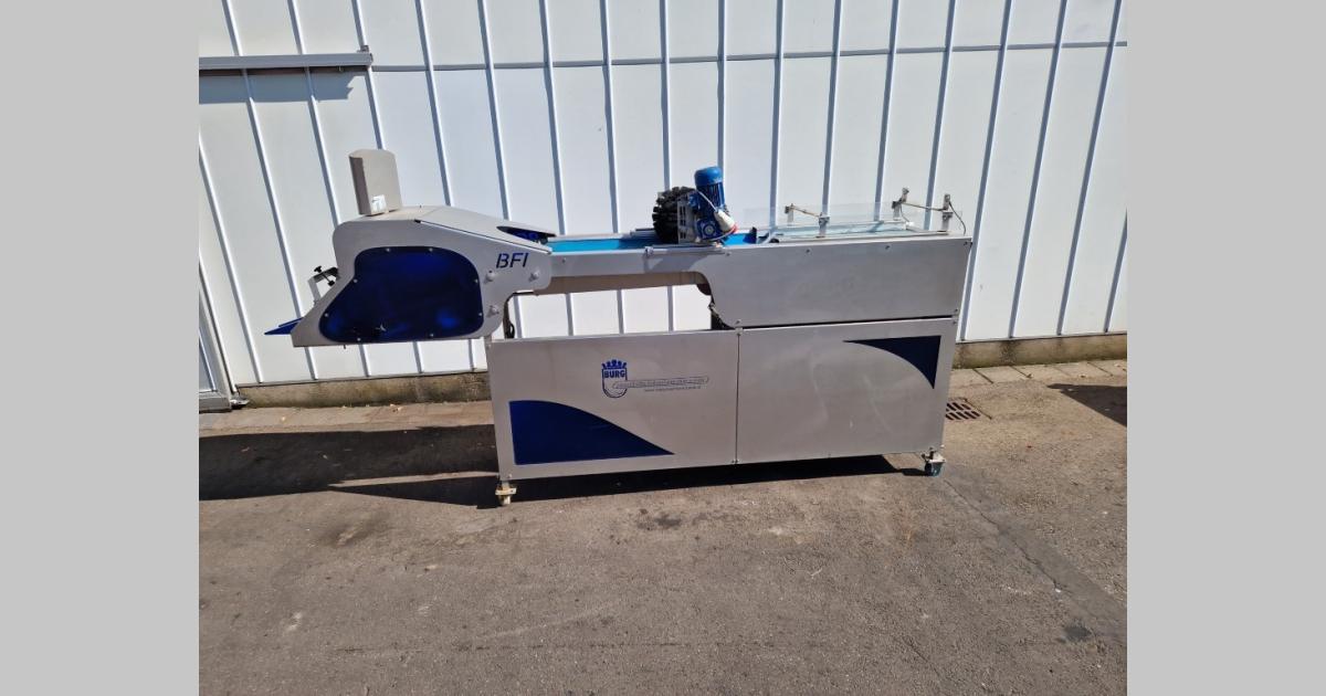 Burg BFI 2.0 Flowpack infeed type for fully automatic fruit grouping ...