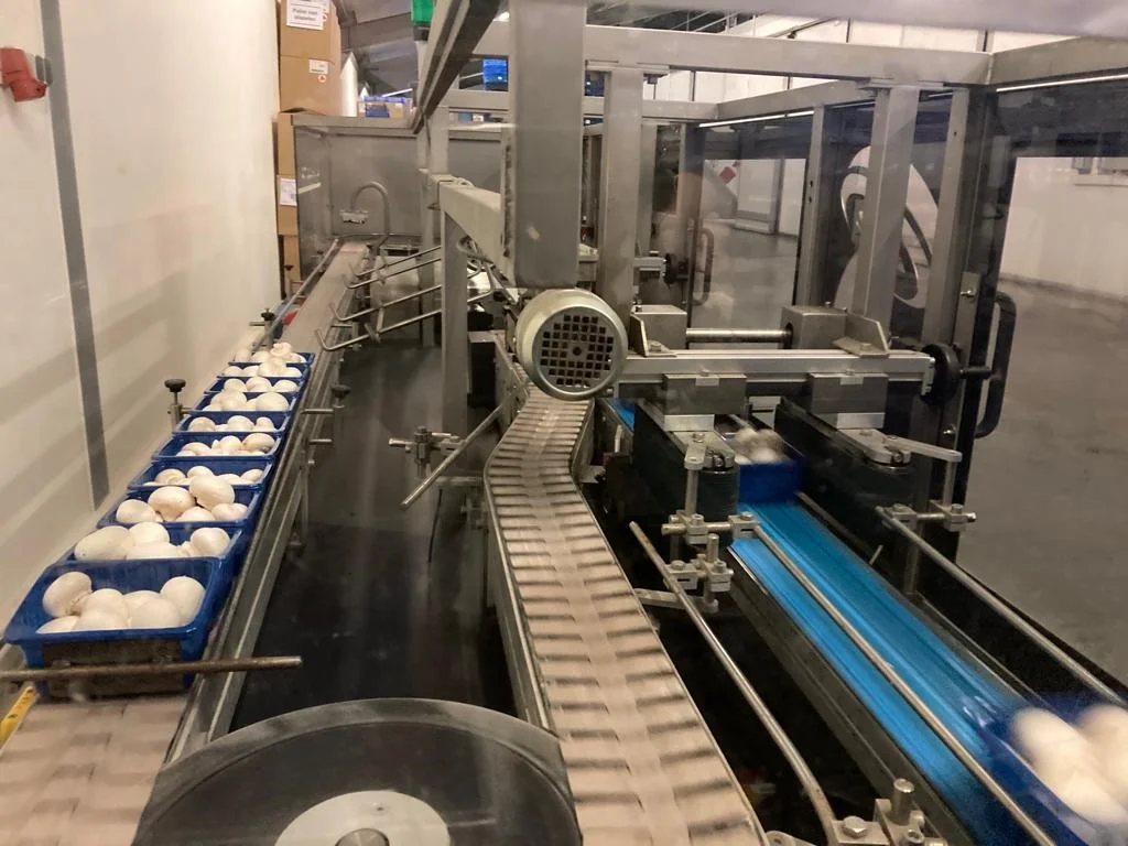 ChampCorr checkweigher with line divider for underweight • Duijndam ...