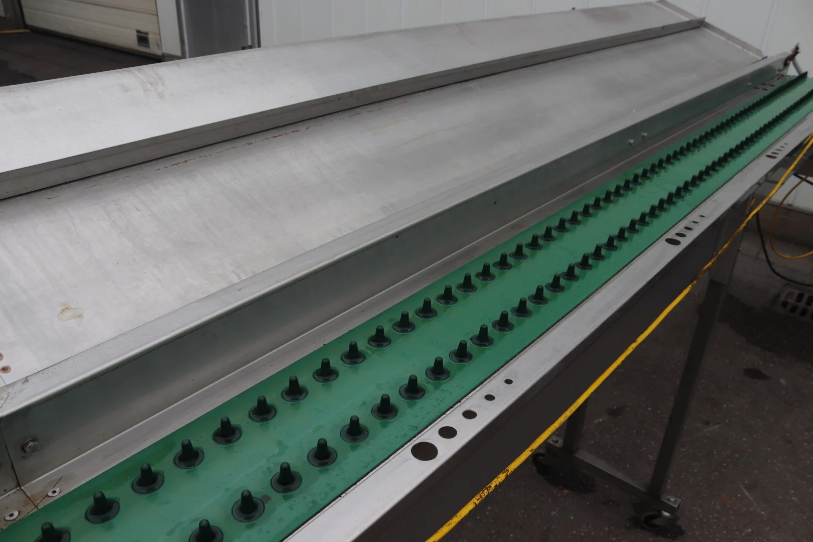 Christiaens semi-automatic grading machine and washer for asparagus ...