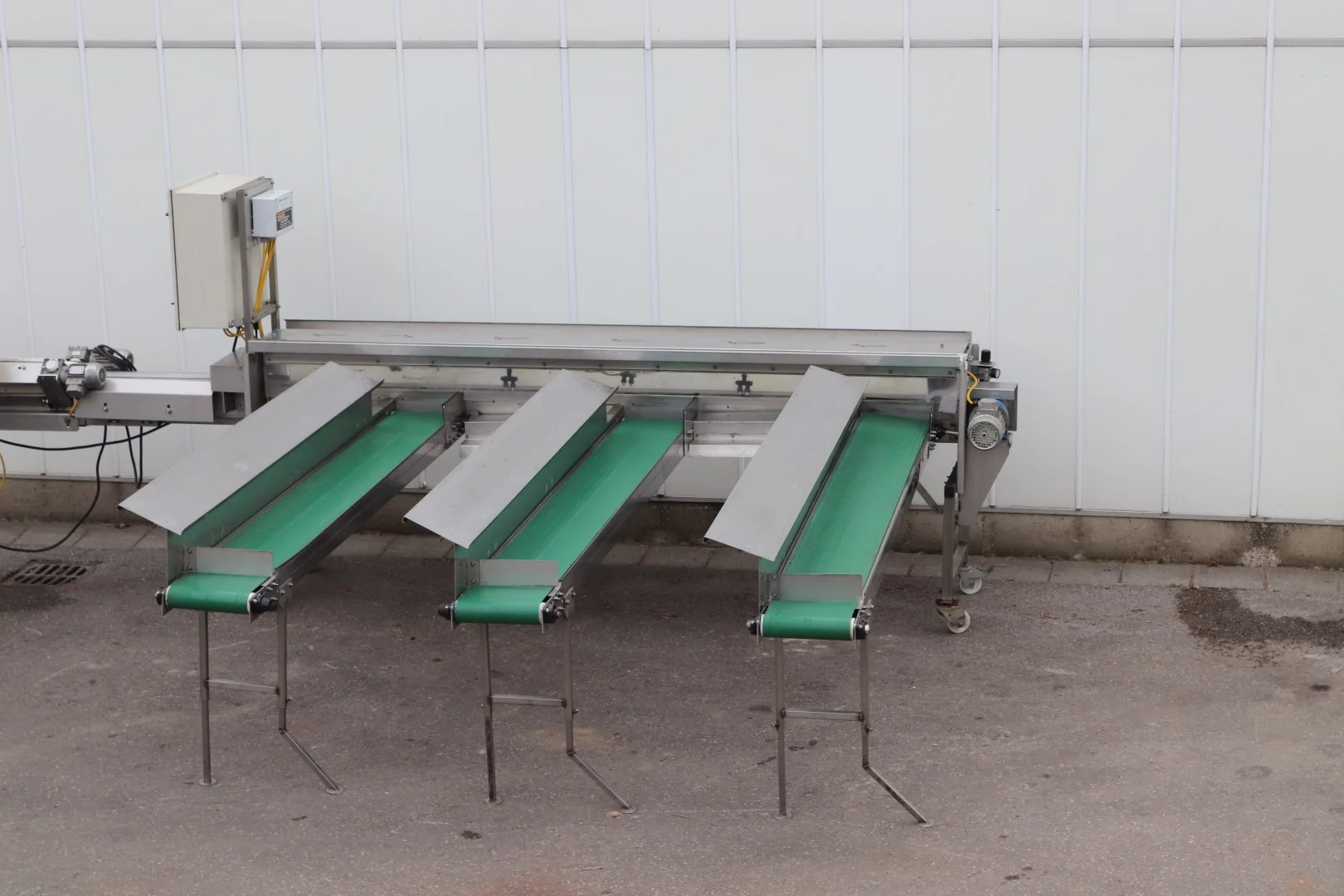 Christiaens semi-automatic grading machine and washer for asparagus ...