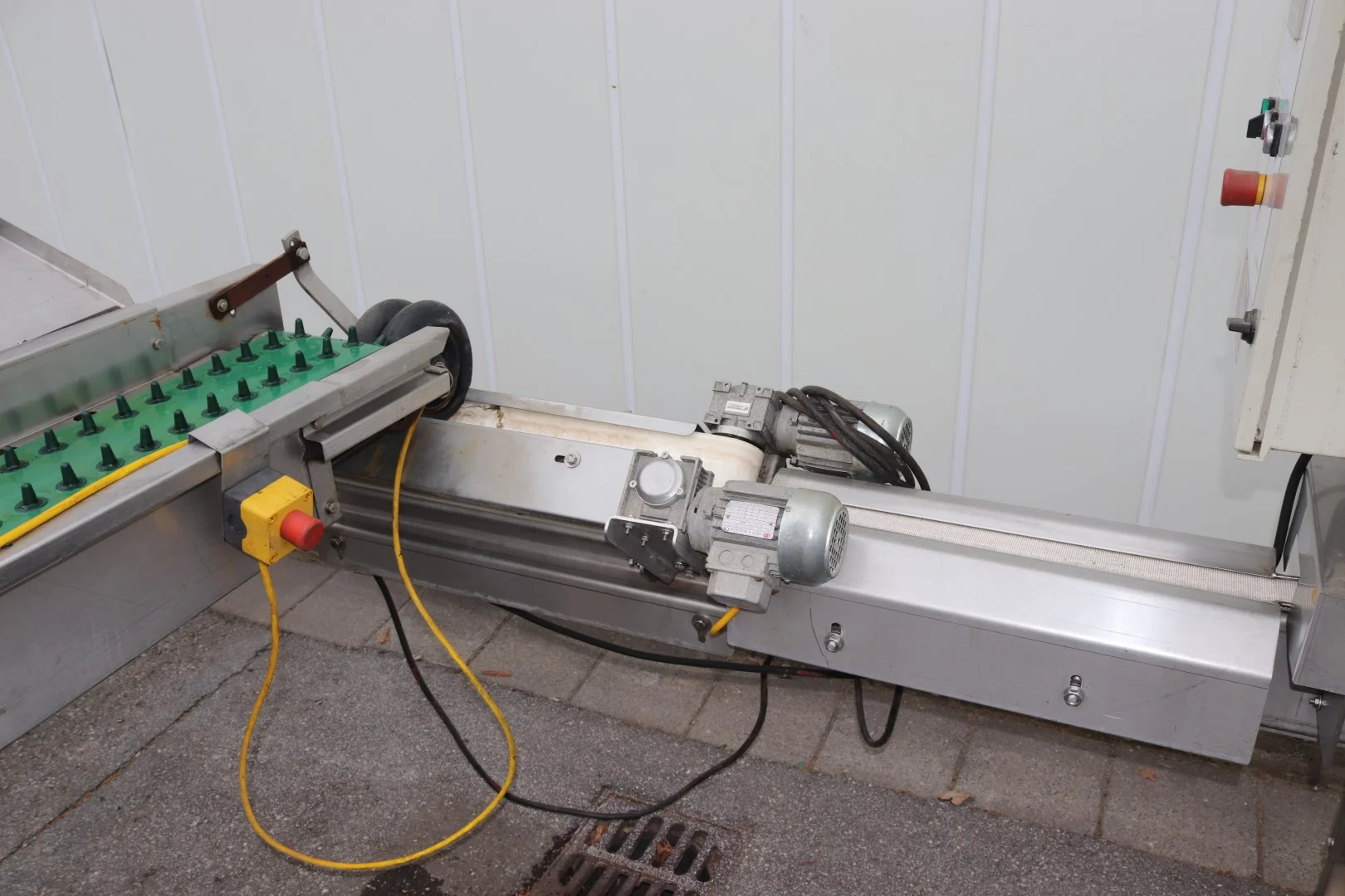 Christiaens semi-automatic grading machine and washer for asparagus ...