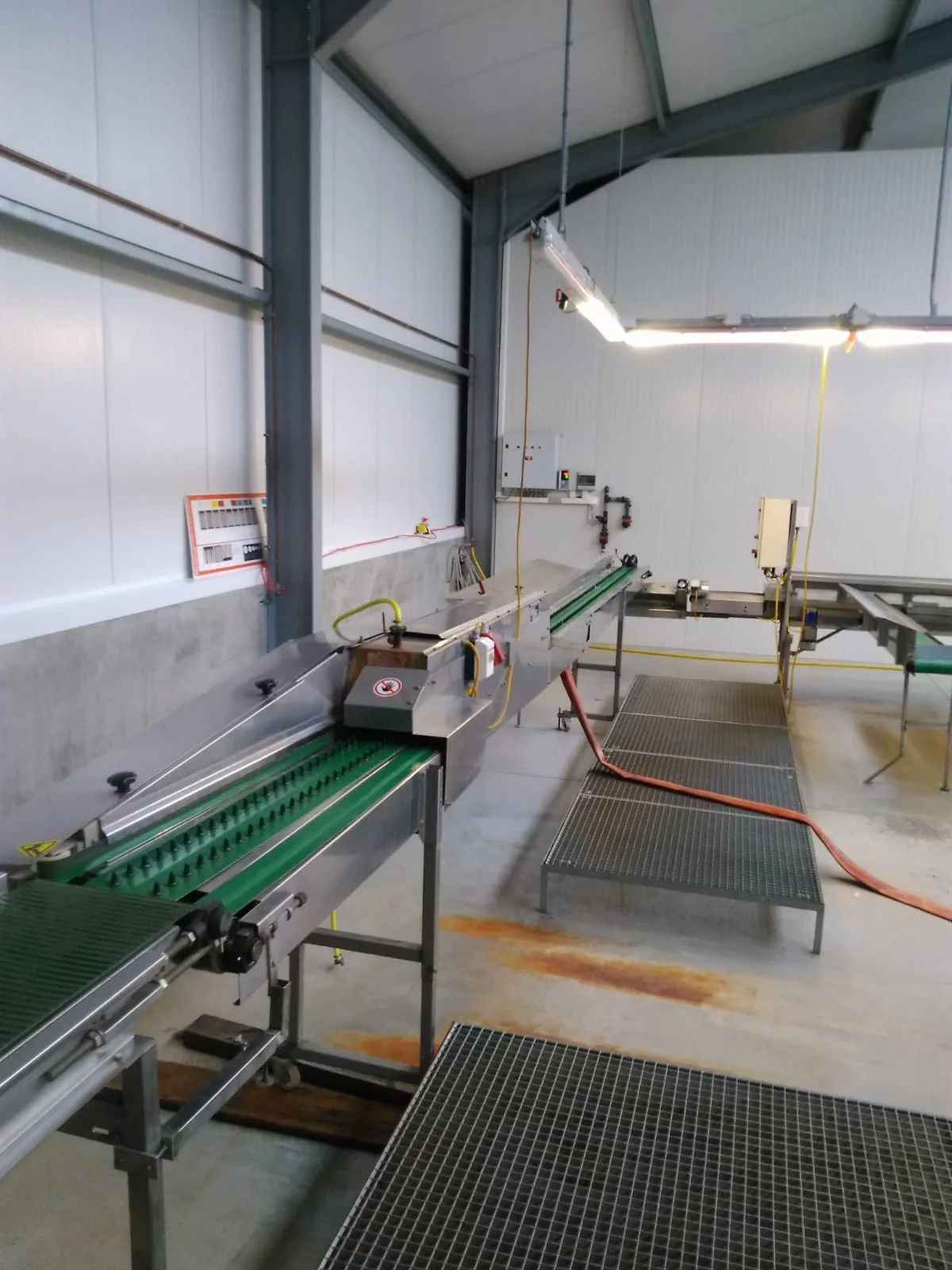 Christiaens semi-automatic grading machine and washer for asparagus ...