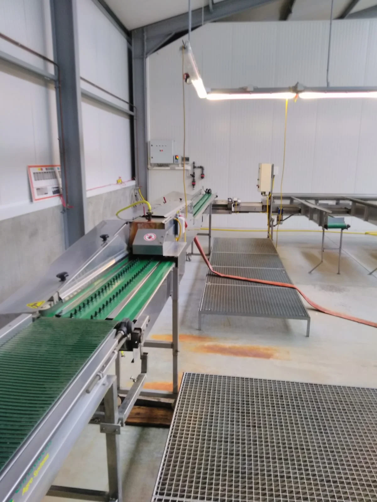 Christiaens semi-automatic grading machine and washer for asparagus ...